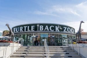 Essex County Turtle Back Zoo Brings NJ’s Best Zoo Experience: Behind ...