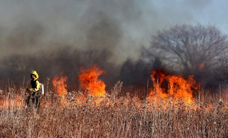3 NJ Wildfires Ignite Over the Weekend - New Jersey Digest