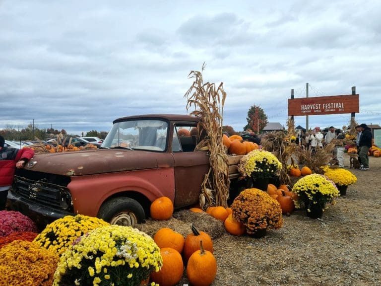 2024 Fall Festivals in New Jersey - New Jersey Digest