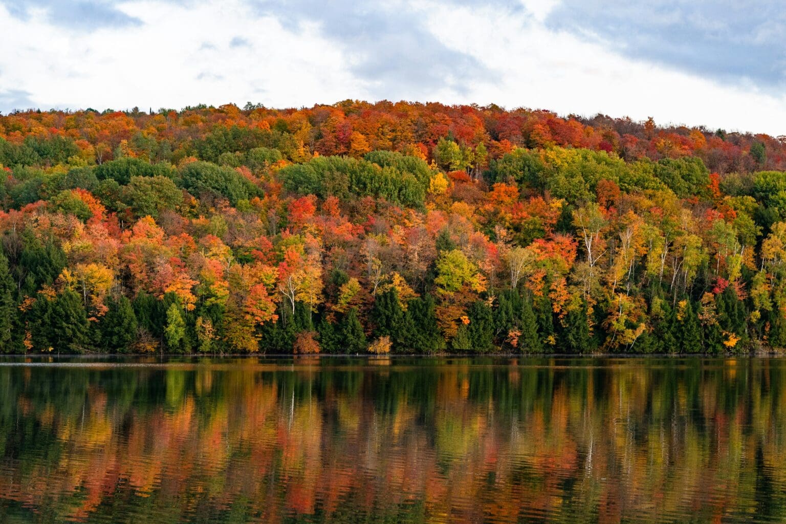 New Jersey Fall Foliage 2025: When and Where to See Peak Colors - New ...