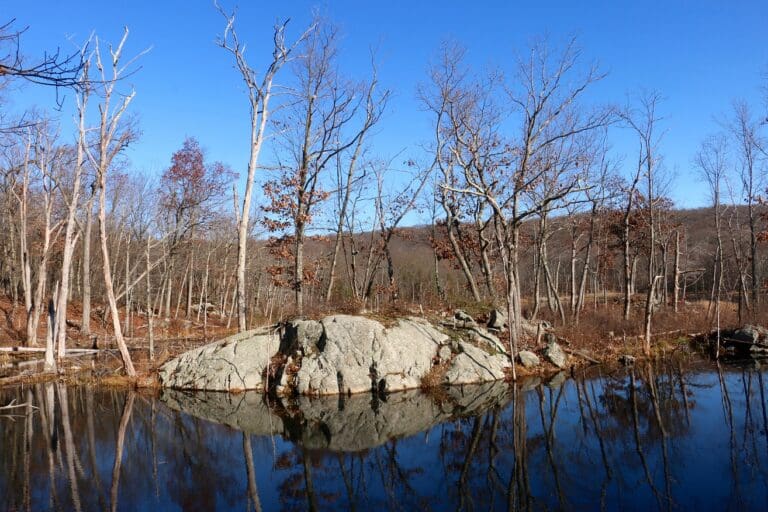 The Haunted History of Clinton Road: New Jersey’s Most Infamous Ghost ...