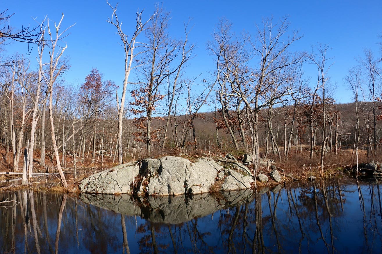 The Haunted History of Clinton Road: New Jersey’s Most Infamous Ghost ...
