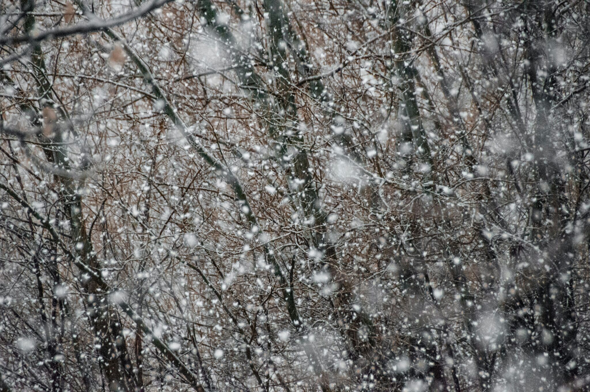 Winter Storm Could Bring First Snow of the Season to New Jersey on ...